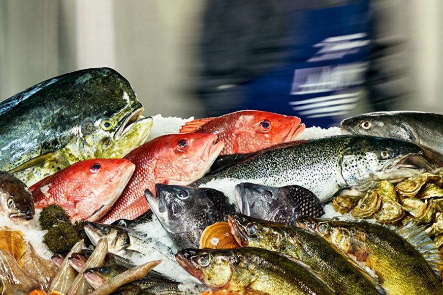 Poissons entiers frais | Plusieurs arrivages par semaine | La Mer