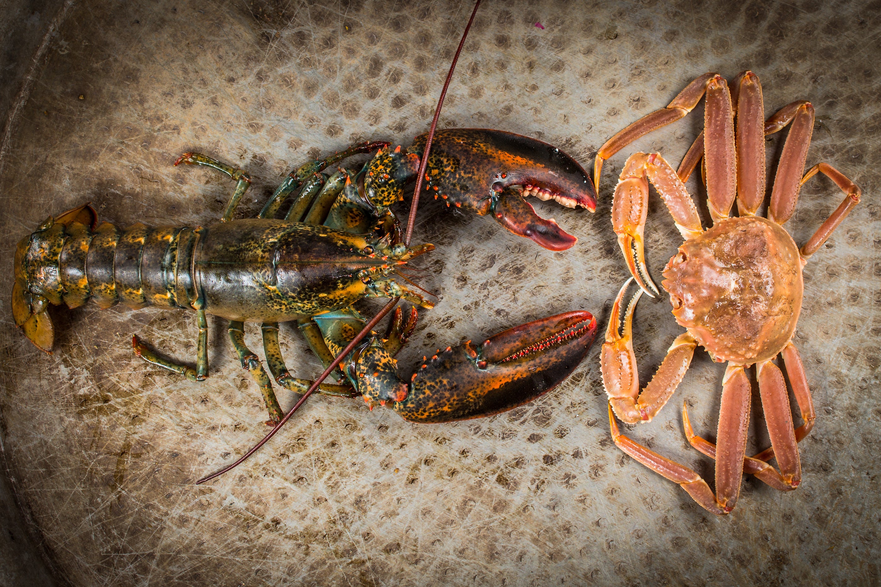 La Mer Fish Market | Fresh Fish and Seafood | Shop In-Store or Online