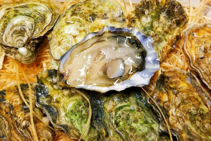 Poissonnerie La Mer - Marché de poissons et de fruits de mer frais