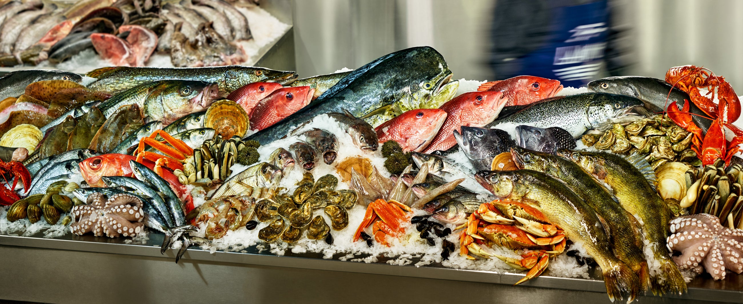 La Mer Fish Market | Fresh Fish and Seafood | Shop In-Store or Online