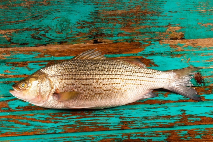 Poissonnerie La Mer - Marché de poissons et de fruits de mer frais