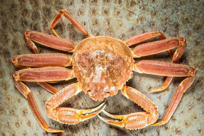 Crabe des neiges saison 2026 | Réservez en ligne | Poissonnerie La Mer