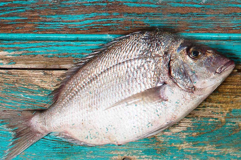 La Mer Fish Market | Fresh Fish and Seafood | Shop In-Store or Online