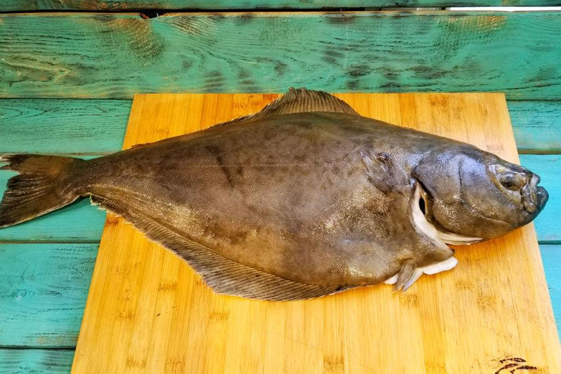 Flétan IPE - entier