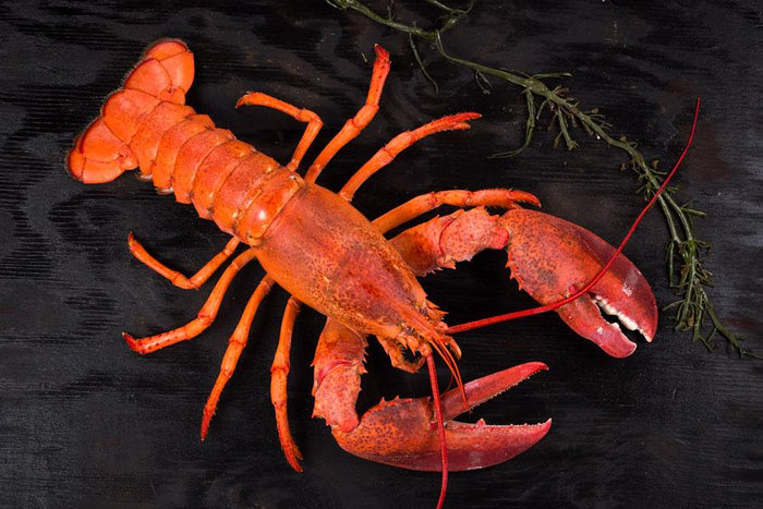 Homard du Québec vivant et frais cuit | Saison 2025 | Poissonnerie La Mer