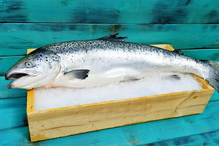 Poissonnerie La Mer - Marché de poissons et de fruits de mer frais